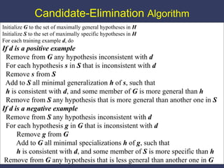 Lec 17 | PPTX | Search | Internet