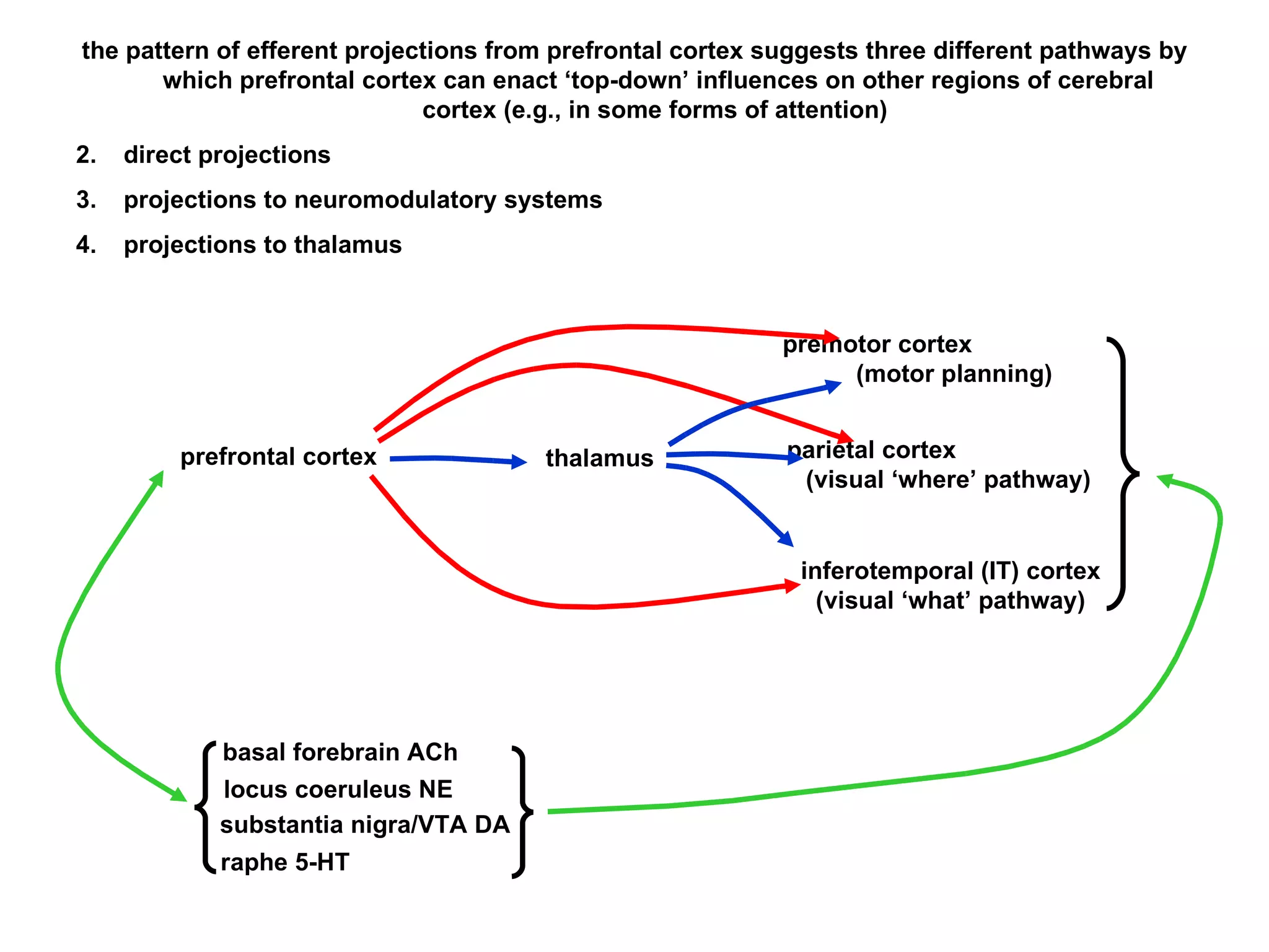 COGS 107B - Winter 2010 - Lecture 17 - PFC, Attention | PPT