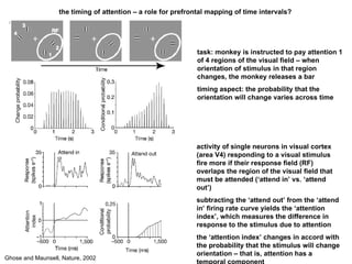COGS 107B - Winter 2010 - Lecture 17 - PFC, Attention | PPT