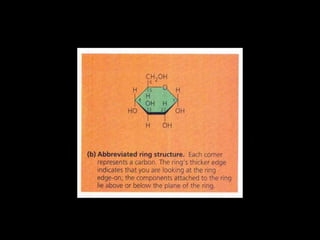 Lec17 Carbohydrates | PPT