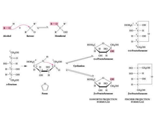 Lec17 Carbohydrates | PPT