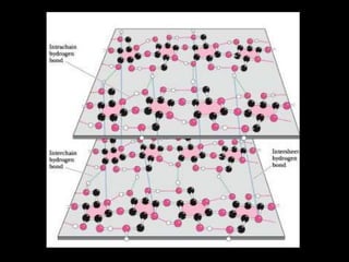 Lec17 Carbohydrates | PPT