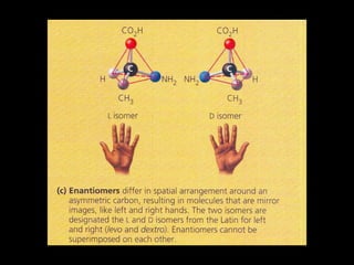 Lec17 Carbohydrates | PPT
