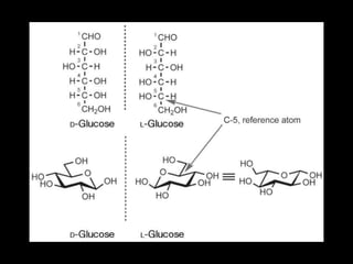 Lec17 Carbohydrates | PPT