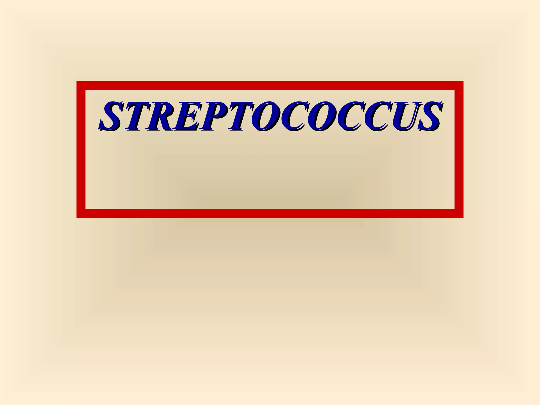 streptococci | PPT