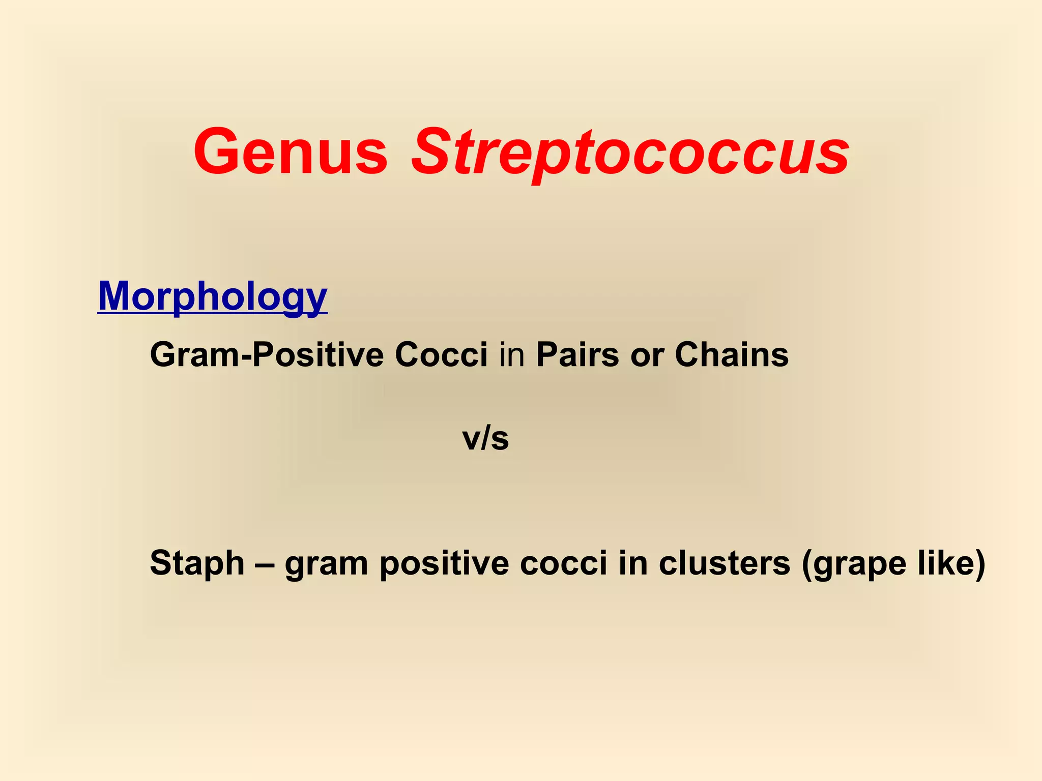 streptococci | PPT