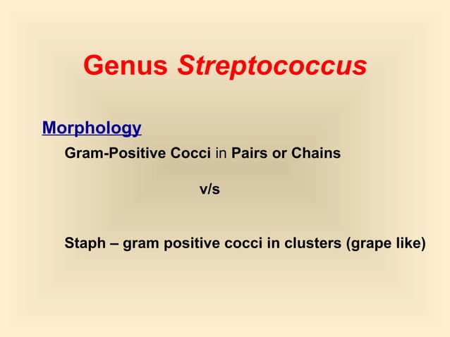 streptococci | PPT | Ear, Nose and Throat Conditions | Diseases and ...