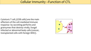 lec_17_hematology_immunity_3hwkwmhkkkllll.pptx