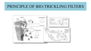 Biomethanation and energy recovery- bioscrubbers and biofilters | PPTX