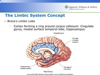 Lec #18 emotion | PPT