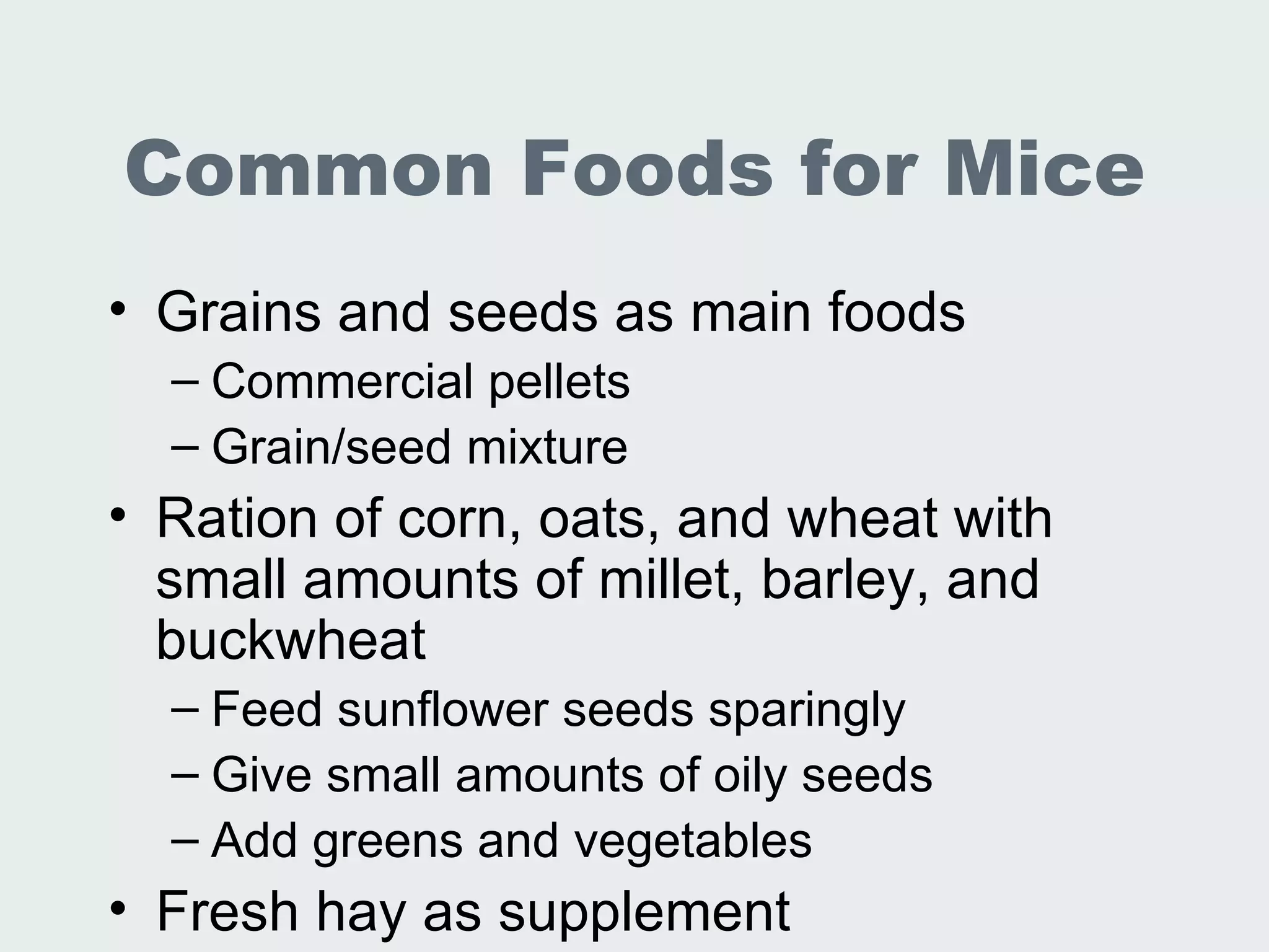 Lec 19 20 Lab Animal Rats Mice | PPT