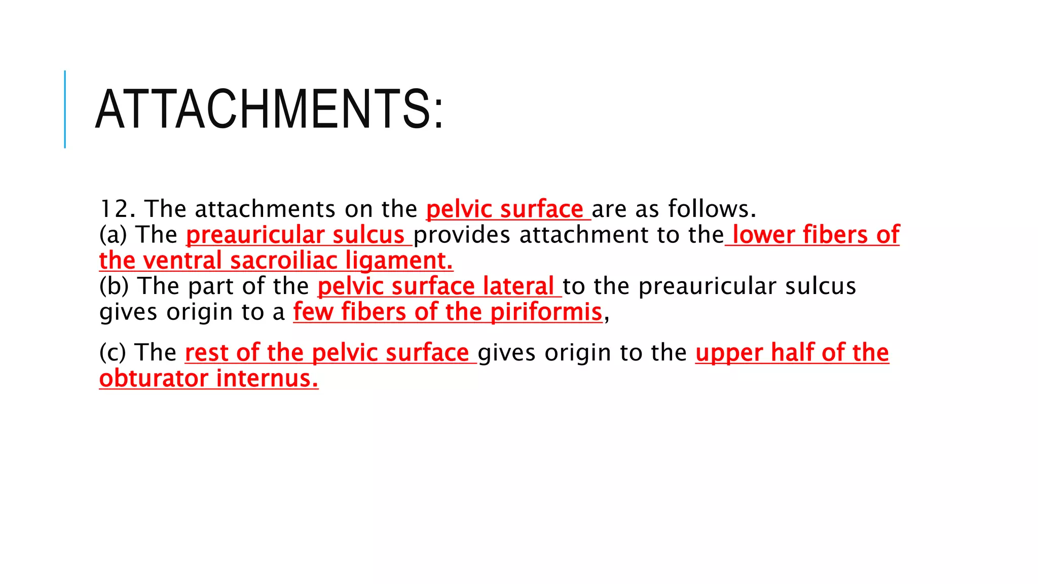 Lec 1 anatomy | PPTX