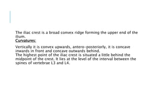 Lec 1 anatomy | PPTX