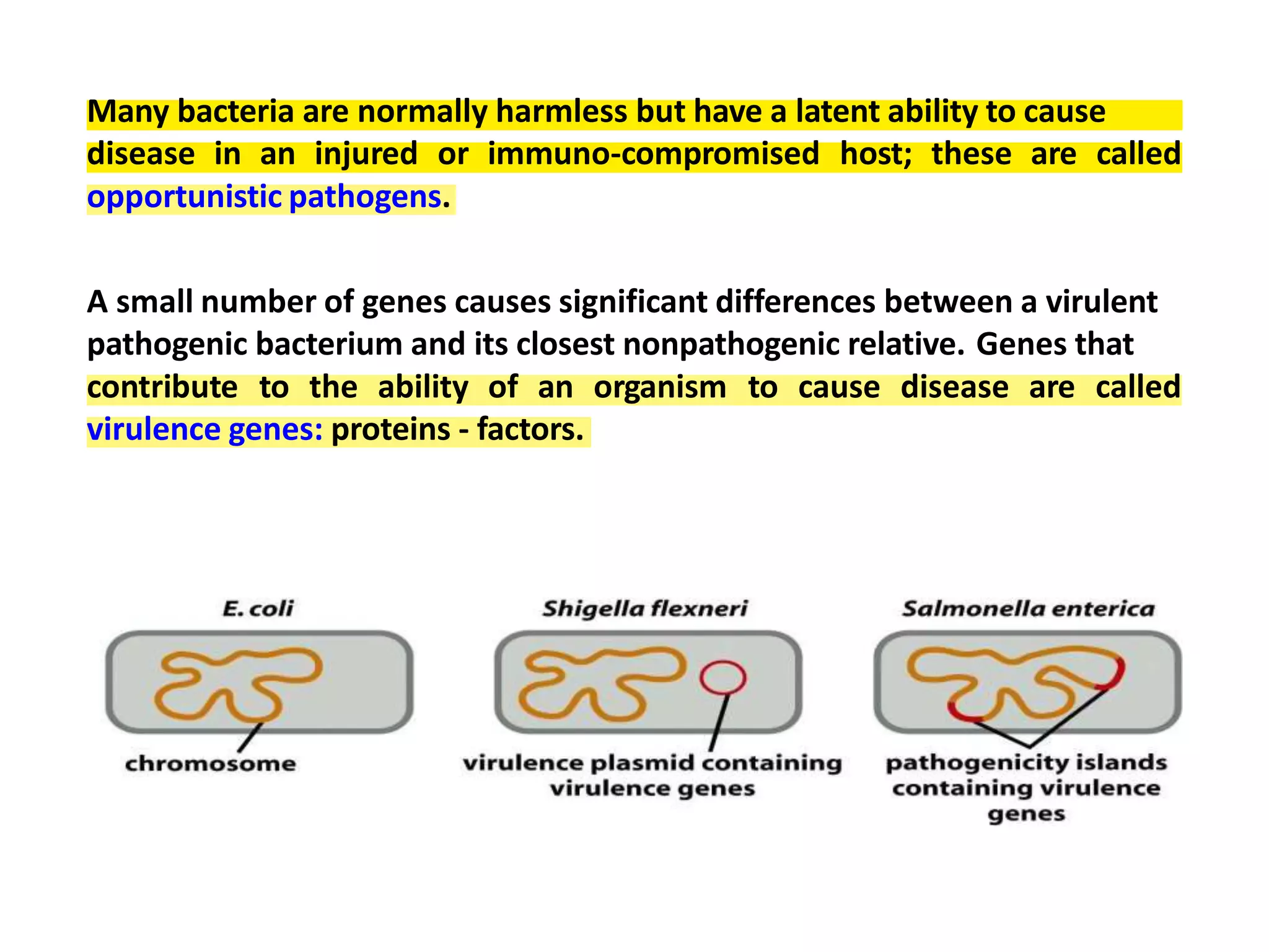 Introduction to Microbial Diversity | PPTX