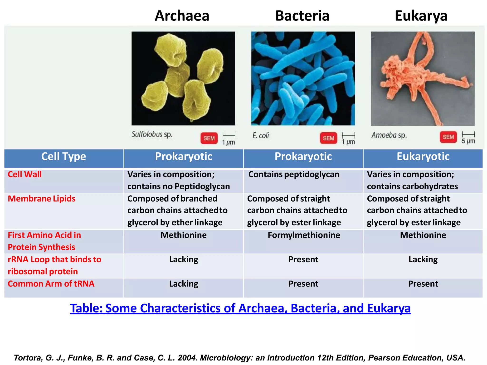 Introduction to Microbial Diversity | PPTX