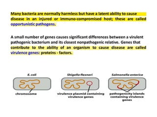 Introduction to Microbial Diversity | PPTX