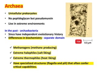 Introduction to Microbial Diversity | PPTX