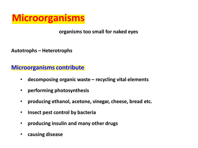 Introduction to Microbial Diversity | PPTX