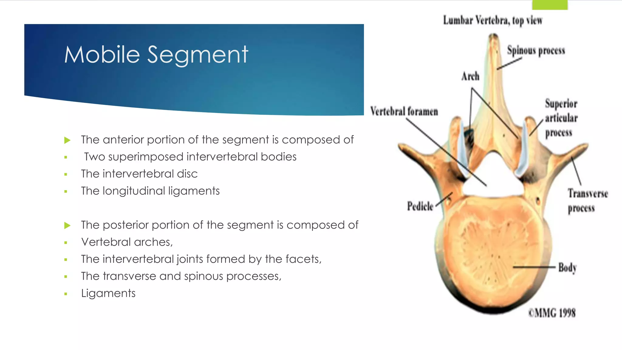 Lec 1 biomechanics of the spine | PPTX