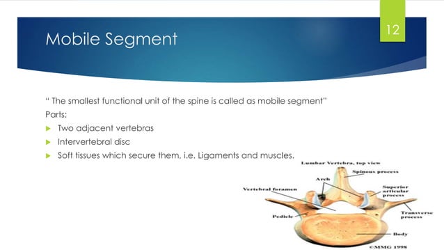 Lec 1 biomechanics of the spine | PPT