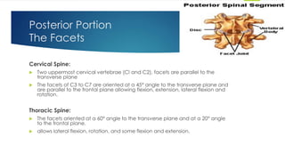 Lec 1 biomechanics of the spine | PPT