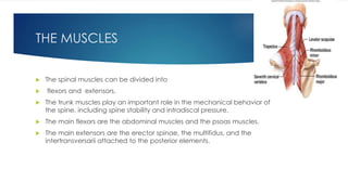 Lec 1 biomechanics of the spine | PPT