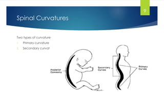 Lec 1 biomechanics of the spine | PPT
