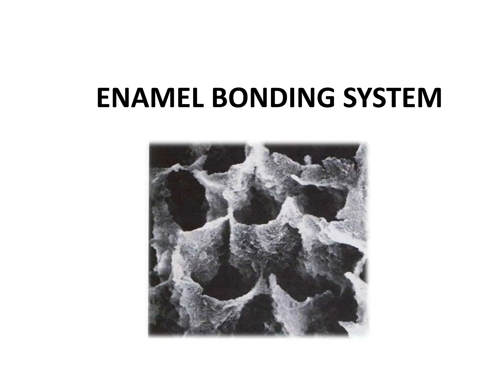 lec 1 Bonding to Dental Substrates or Adhesion.pptx