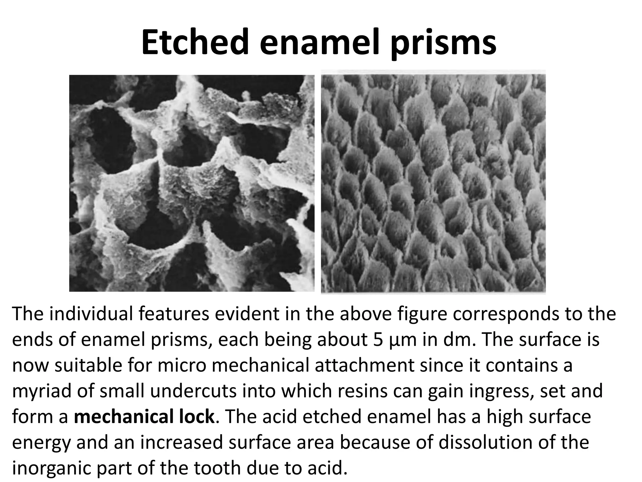 lec 1 Bonding to Dental Substrates or Adhesion.pptx
