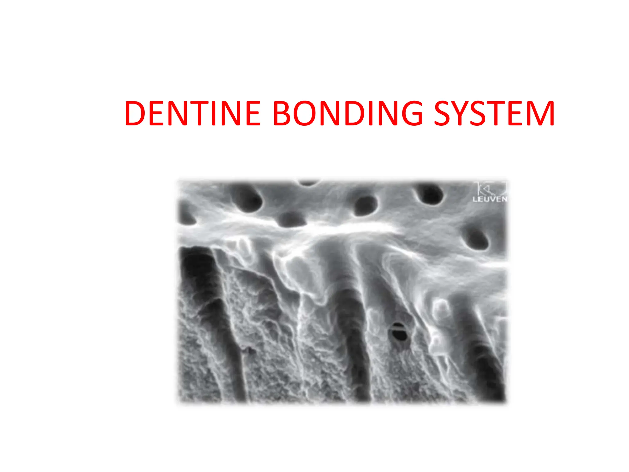 lec 1 Bonding to Dental Substrates or Adhesion.pptx