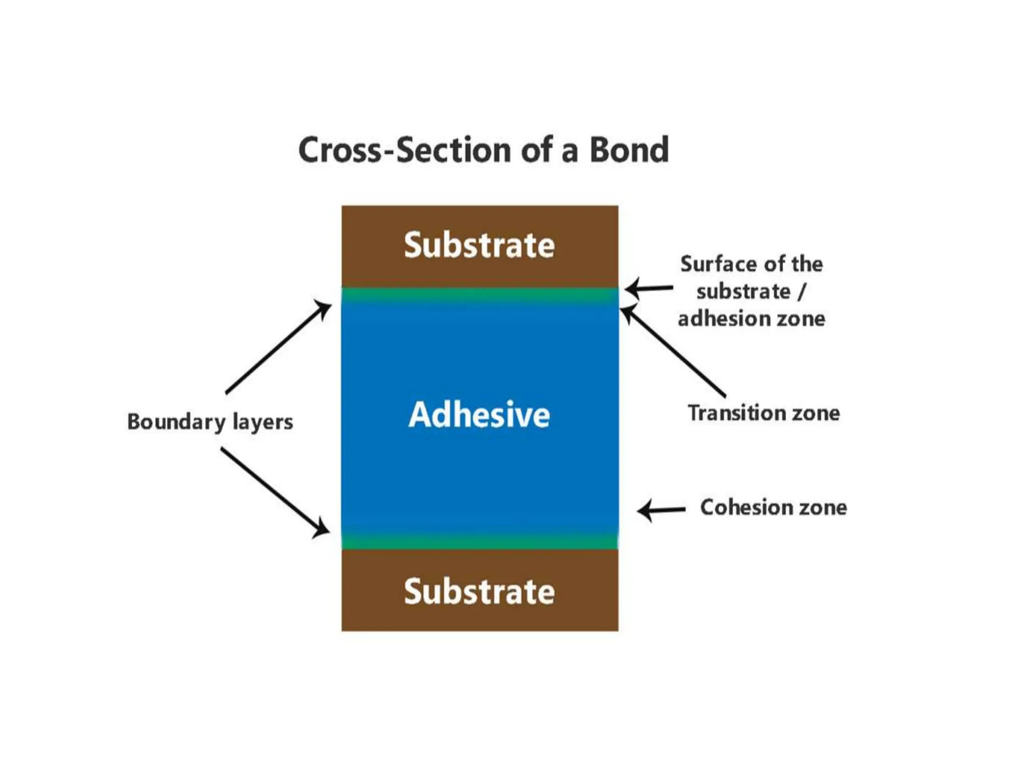 lec 1 Bonding to Dental Substrates or Adhesion.pptx