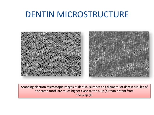 lec 1 Bonding to Dental Substrates or Adhesion.pptx
