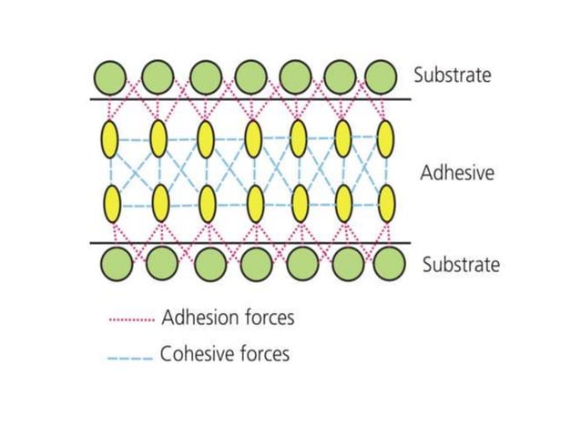 lec 1 Bonding to Dental Substrates or Adhesion.pptx
