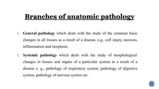 Introduction to pathology and it's branches | PPT