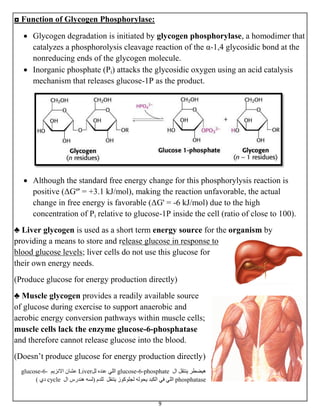 Glucose Utilization | PDF