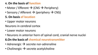 LEC 1 ,Excitable tissue nerve and muscle.pptx