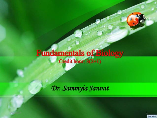 Lec#1 Fundamentals of Biology.pptx