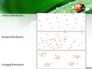 Lec#1 Fundamentals of Biology.pptx