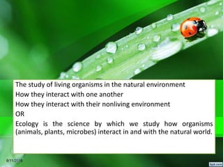 Lec#1 Fundamentals of Biology.pptx