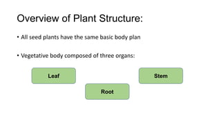 Lec1_Introduction-to-Plant-Physiology-2025.pdf