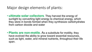 Lec1_Introduction-to-Plant-Physiology-2025.pdf