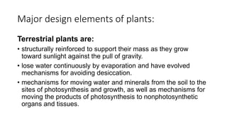 Lec1_Introduction-to-Plant-Physiology-2025.pdf