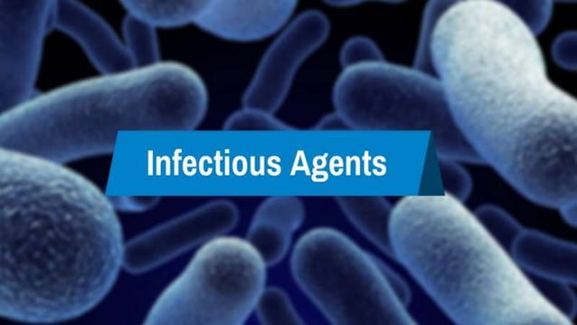 Lec 1 introd to infectious diseases | PPTX | Infectious Diseases ...
