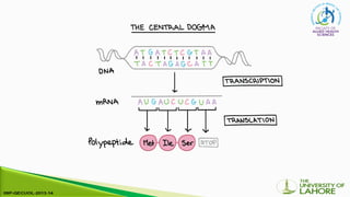 LEC#1 INTRODUCTION.pdf