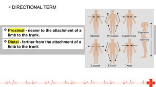 LEC1 INTRODUCTION_ANATOMY & PHYSIOLOGY.pptx