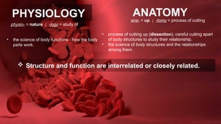 LEC1 INTRODUCTION_ANATOMY & PHYSIOLOGY.pptx