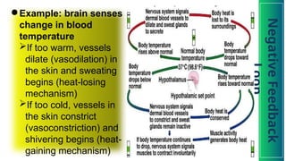 LEC1 INTRODUCTION_ANATOMY & PHYSIOLOGY.pptx