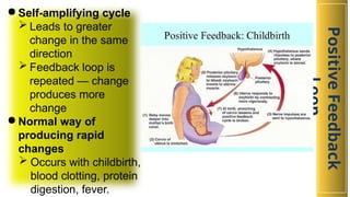 LEC1 INTRODUCTION_ANATOMY & PHYSIOLOGY.pptx