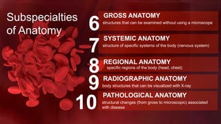 LEC1 INTRODUCTION_ANATOMY & PHYSIOLOGY.pptx