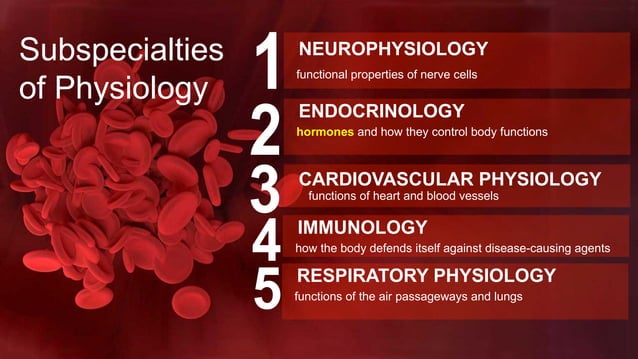 LEC1 INTRODUCTION_ANATOMY & PHYSIOLOGY.pptx